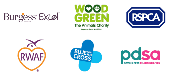 RAAG - Rabbit Awareness Week